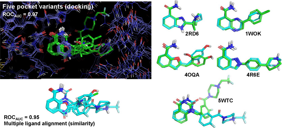 Structure- and ligand-based virtual screening on DUD-E+: performance ...