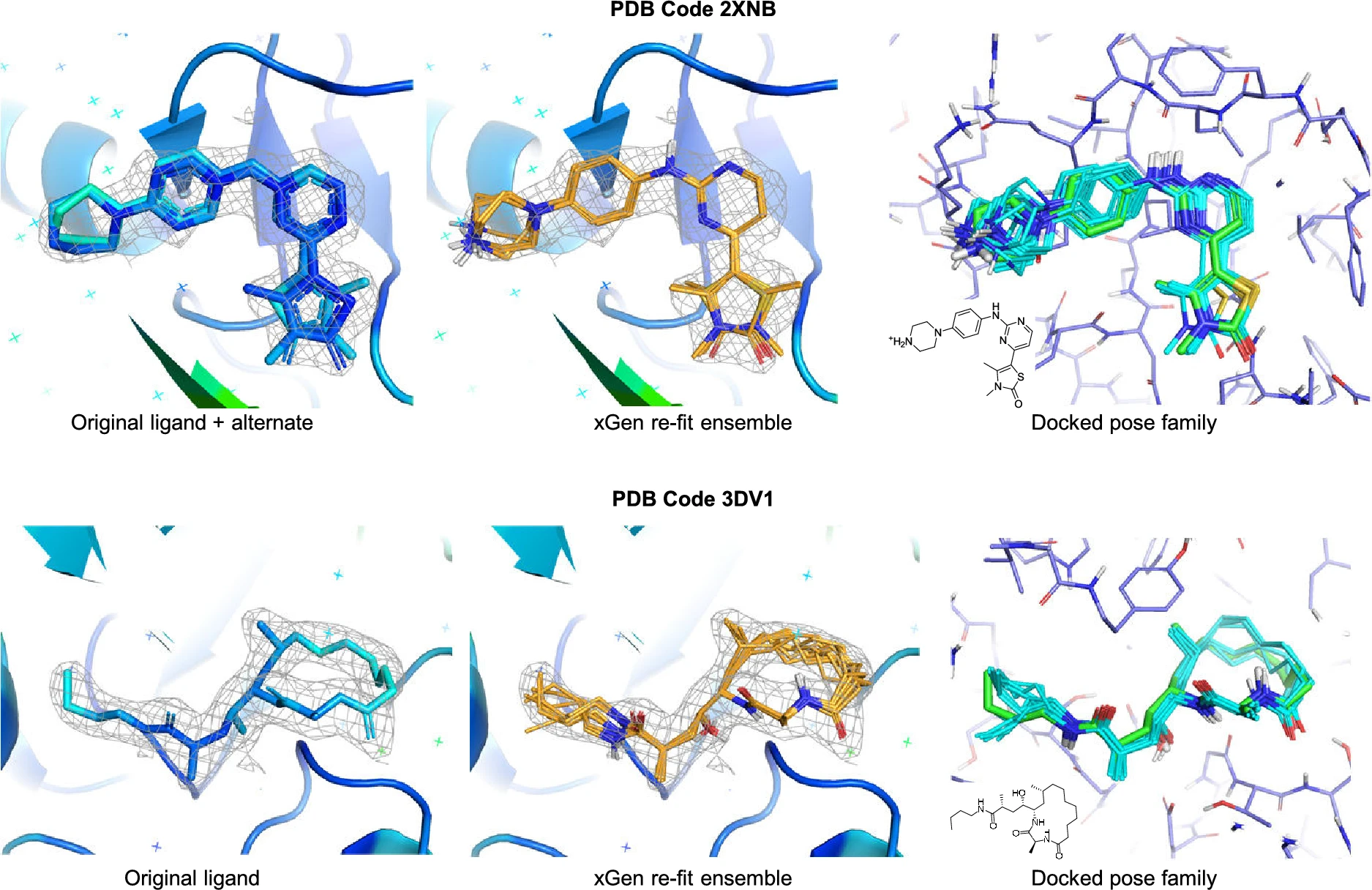 Structure Based Pose Prediction Non Cognate Docking Extended To Macrocyclic Ligands Optibrium 4528